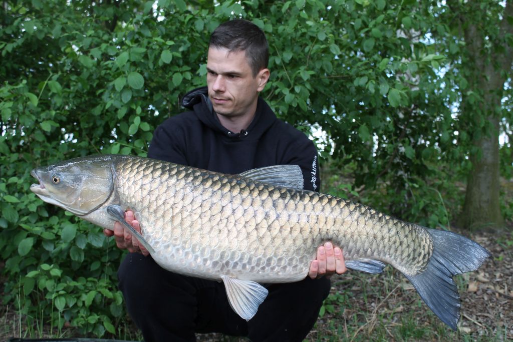 Amur vs. Kapr - v podání Carp Only - STARFISHING